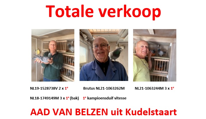 Duiven.net