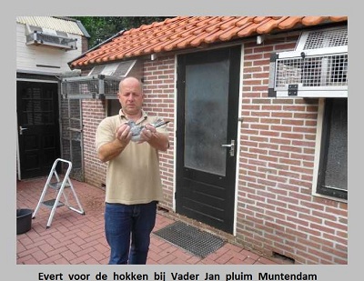 Duiven.net